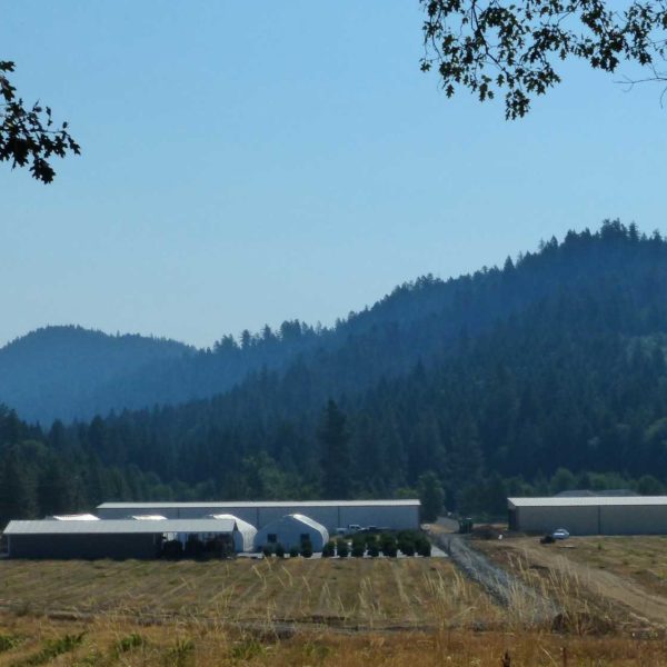 Grow | Steel Buildings | Allied Steel Buildings